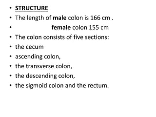 Anatomy and physiology of the digestive system | PPTX