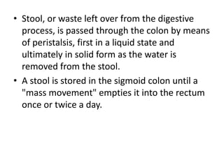 Anatomy and physiology of the digestive system | PPTX