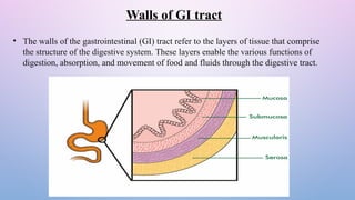ANATOMY AND PHYSIOLOGY OF DIGESTIVE SYSTEM.pptx