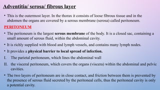 ANATOMY AND PHYSIOLOGY OF DIGESTIVE SYSTEM.pptx