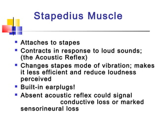 Anatomy and physiology of ear | PPT