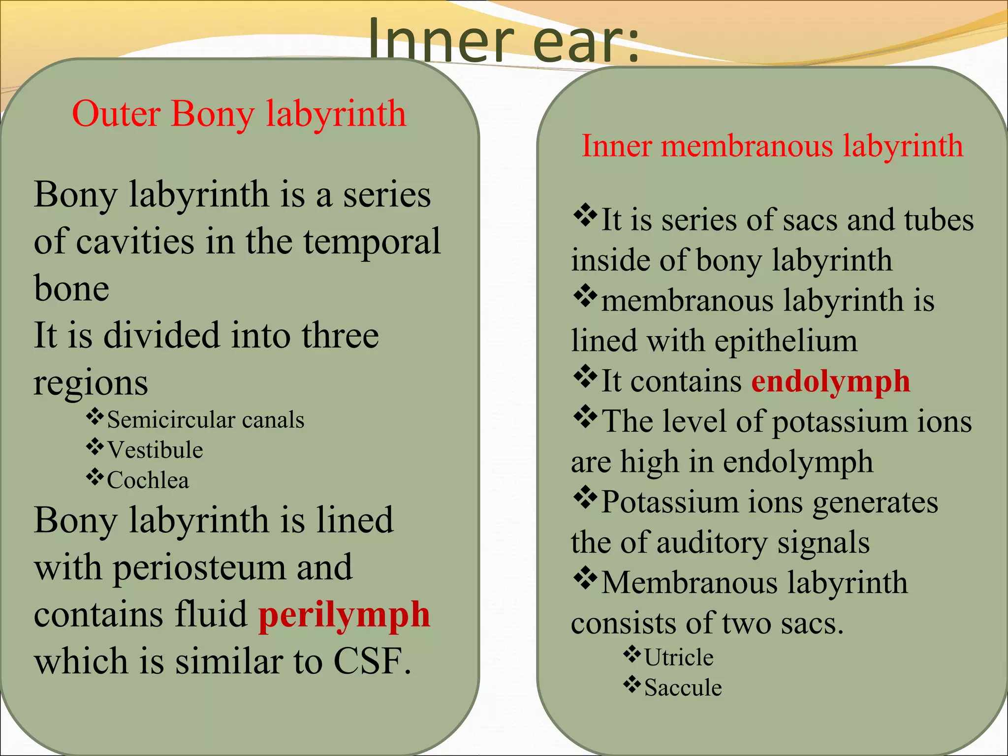 Anatomy and physiology of ear | PPT