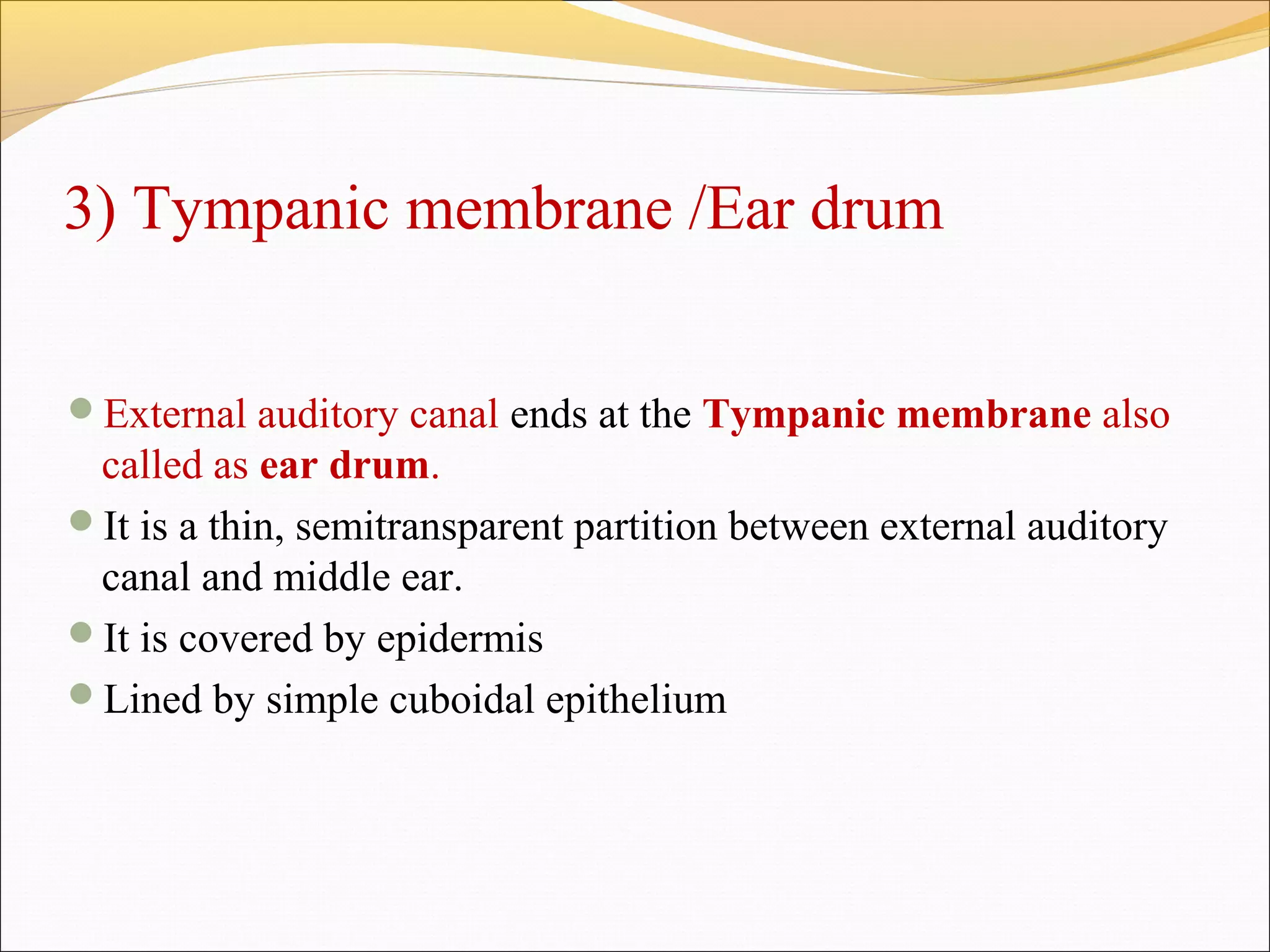 Anatomy and physiology of ear | PPT