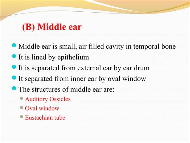 Anatomy and physiology of ear | PPT