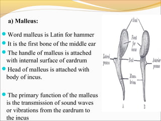 Anatomy and physiology of ear | PPT