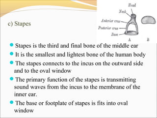 Anatomy and physiology of ear | PPT
