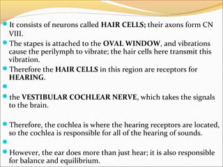 Anatomy and physiology of ear | PPT