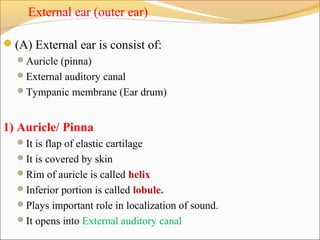 Anatomy and physiology of ear | PPT