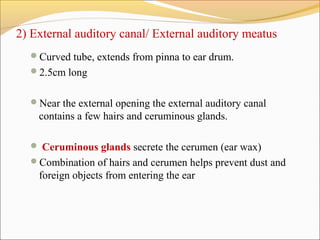 Anatomy and physiology of ear | PPT