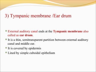 Anatomy and physiology of ear | PPT
