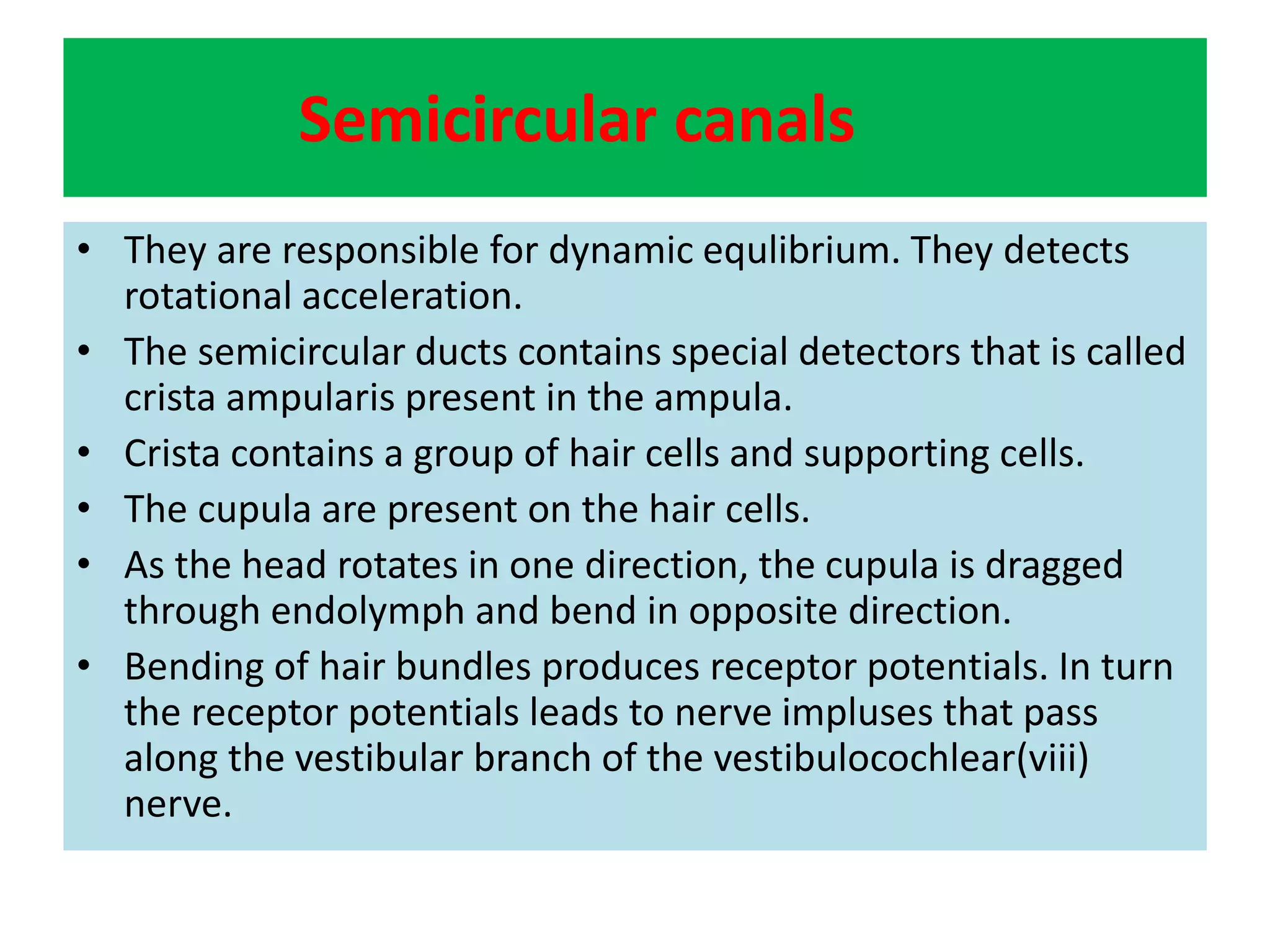 Anatomy and physiology of ear | PPT
