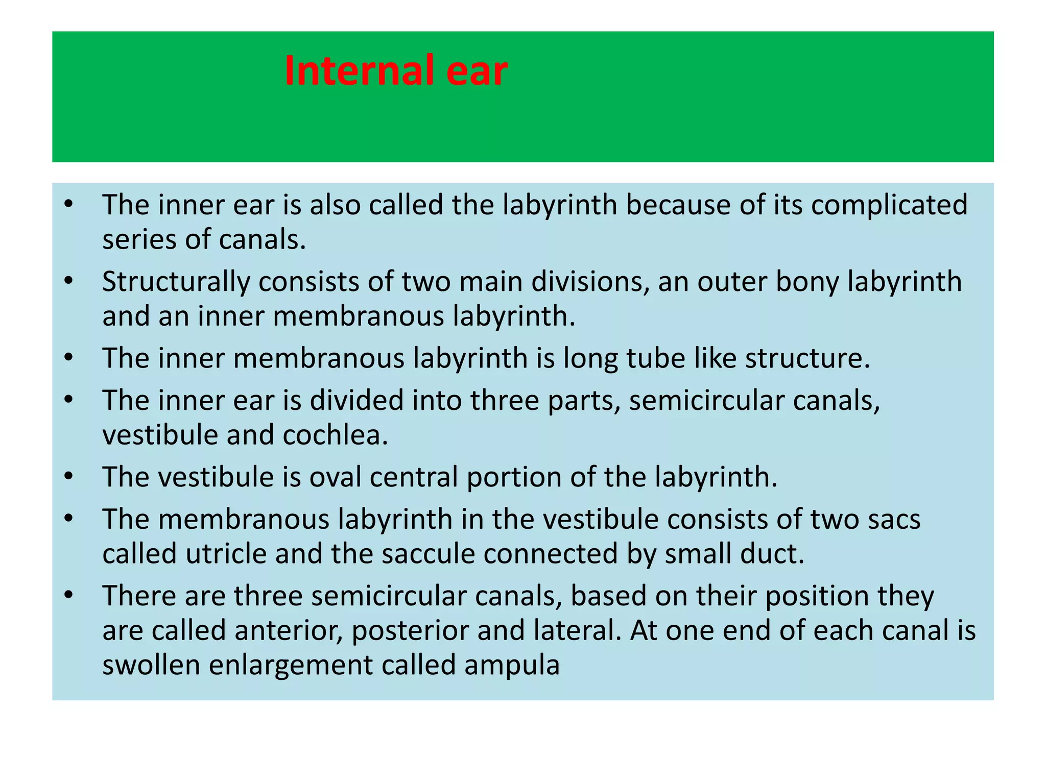 Anatomy and physiology of ear | PPT