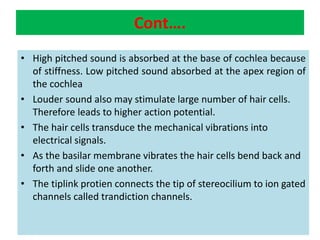 Anatomy and physiology of ear | PPT