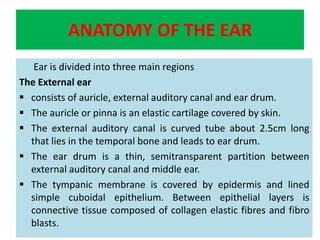 Anatomy and physiology of ear | PPT
