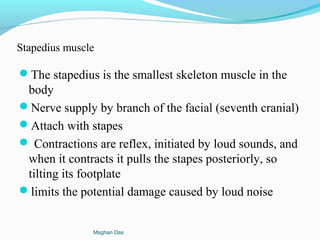 Anatomy and physiology of ear by maghan das | PPT