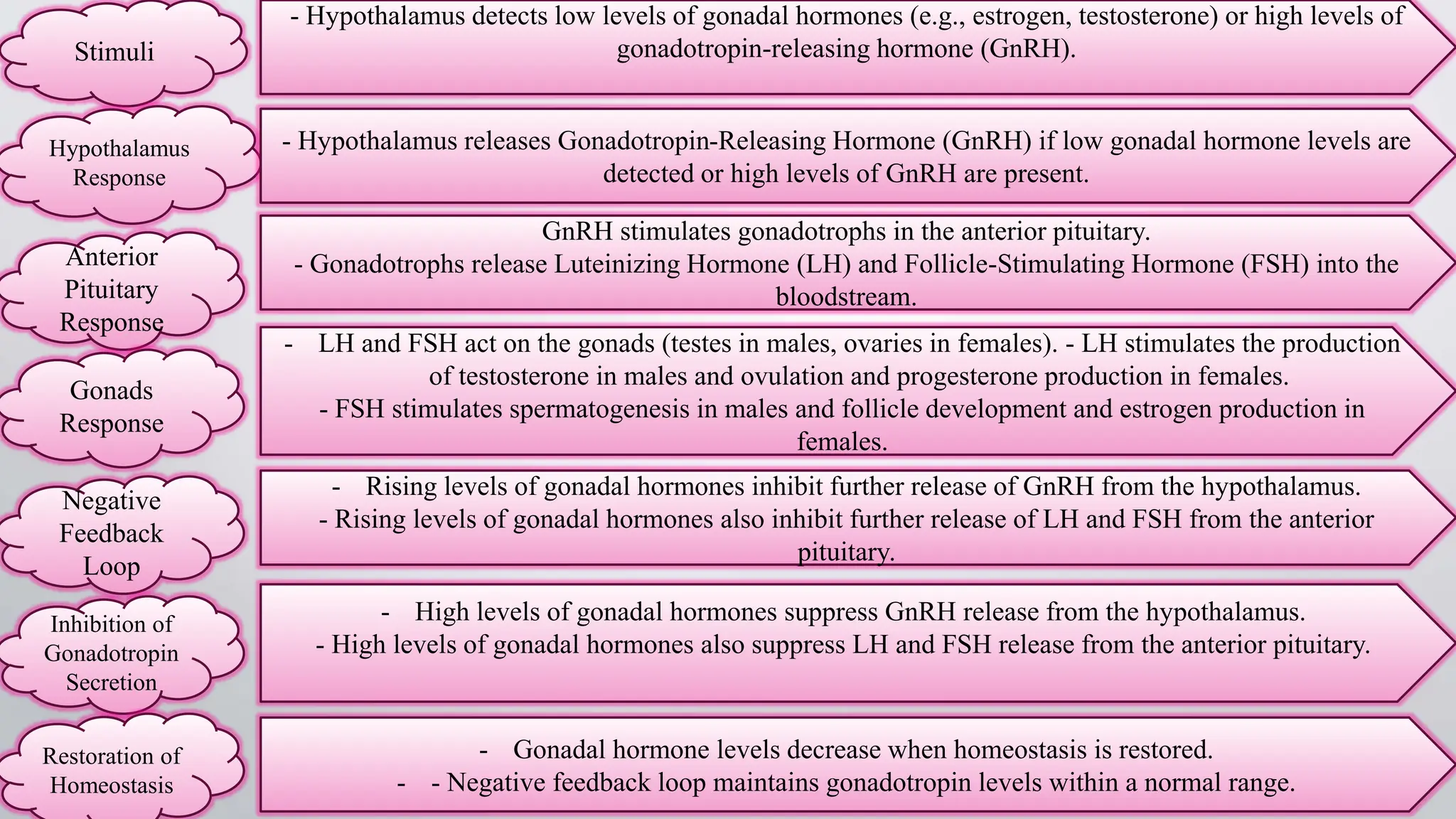 ANATOMY AND PHYSIOLOGY OF ENDOCRINE SYSTEM.pptx