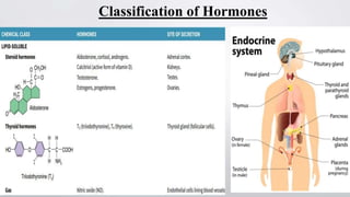 ANATOMY AND PHYSIOLOGY OF ENDOCRINE SYSTEM.pptx