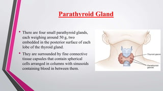 ANATOMY AND PHYSIOLOGY OF ENDOCRINE SYSTEM.pptx