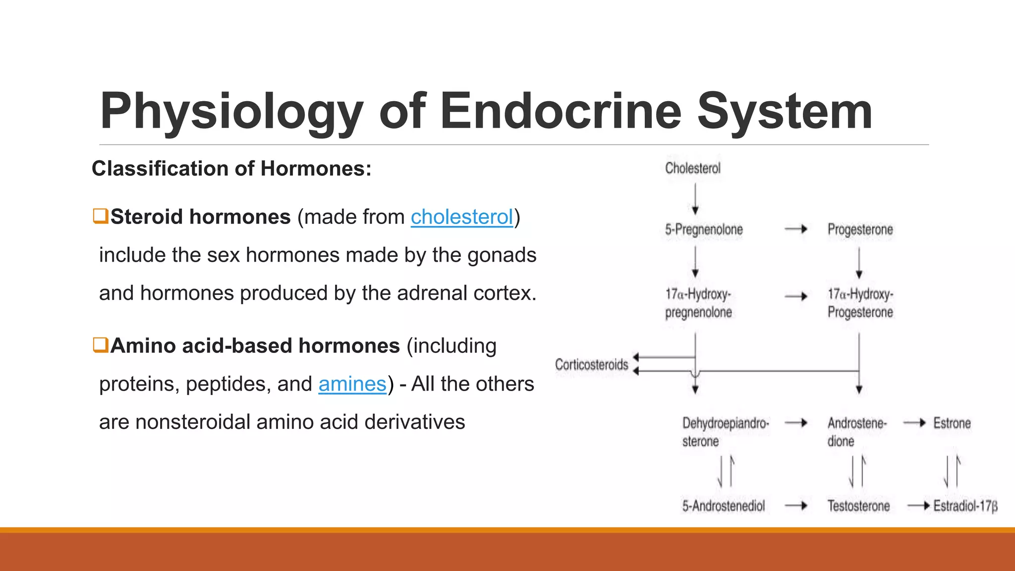 Anatomy and physiology of endocrine system by Simhachalam K L V | PPTX