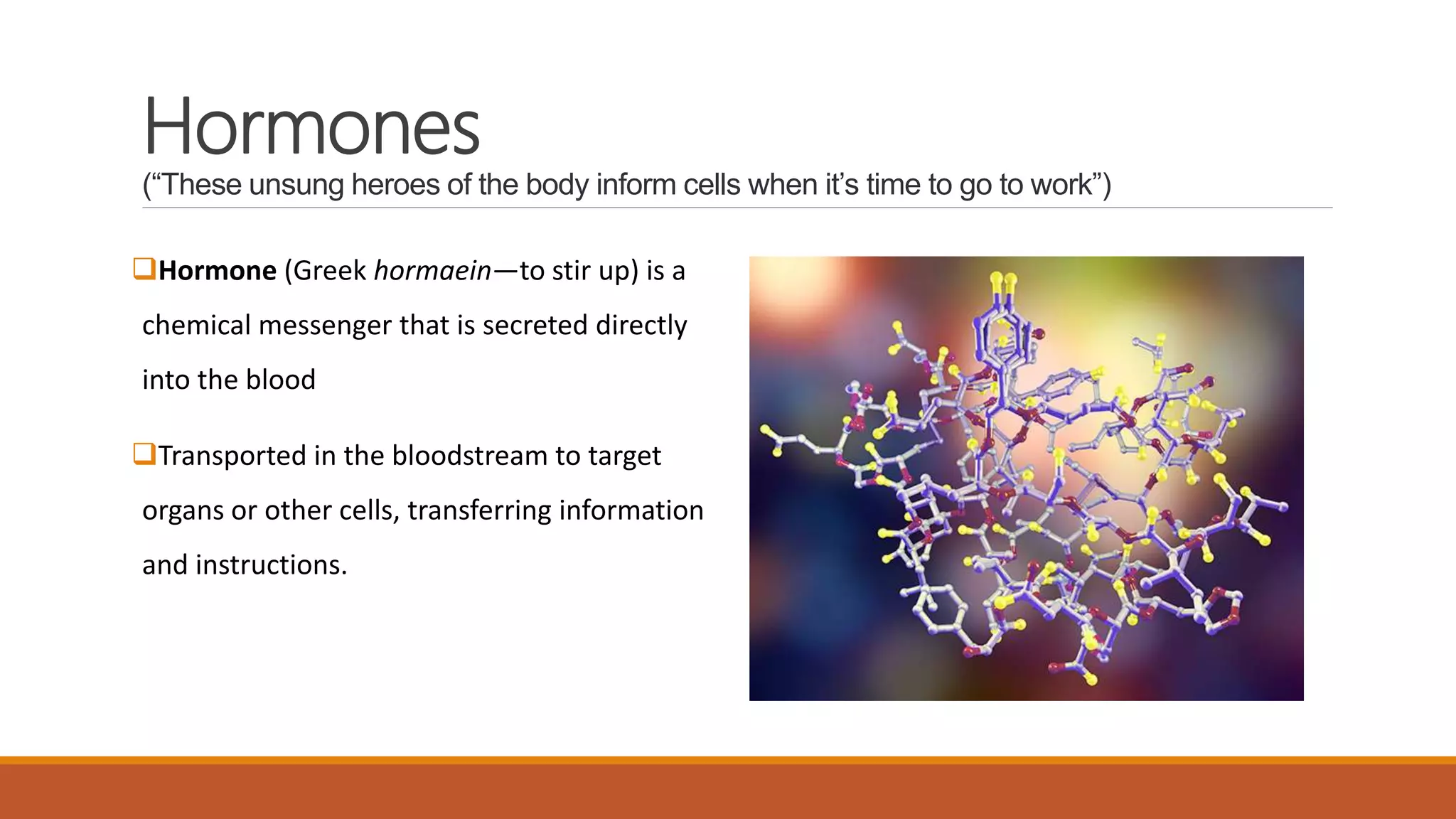 Anatomy and physiology of endocrine system by Simhachalam K L V | PPTX