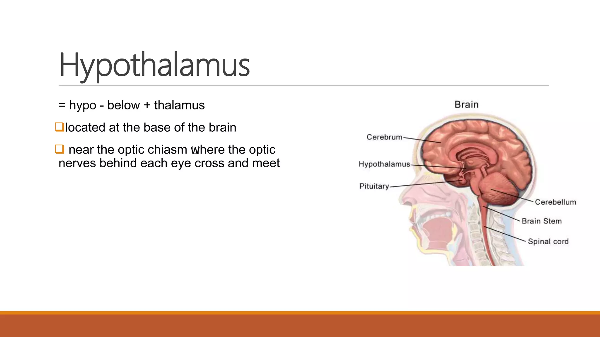 Anatomy and physiology of endocrine system by Simhachalam K L V | PPTX