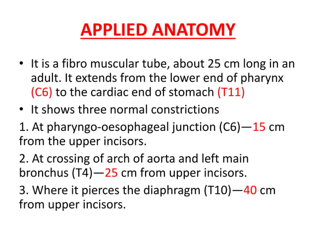 Anatomy and physiology of esophagus | PPTX | Lung and Respiratory ...