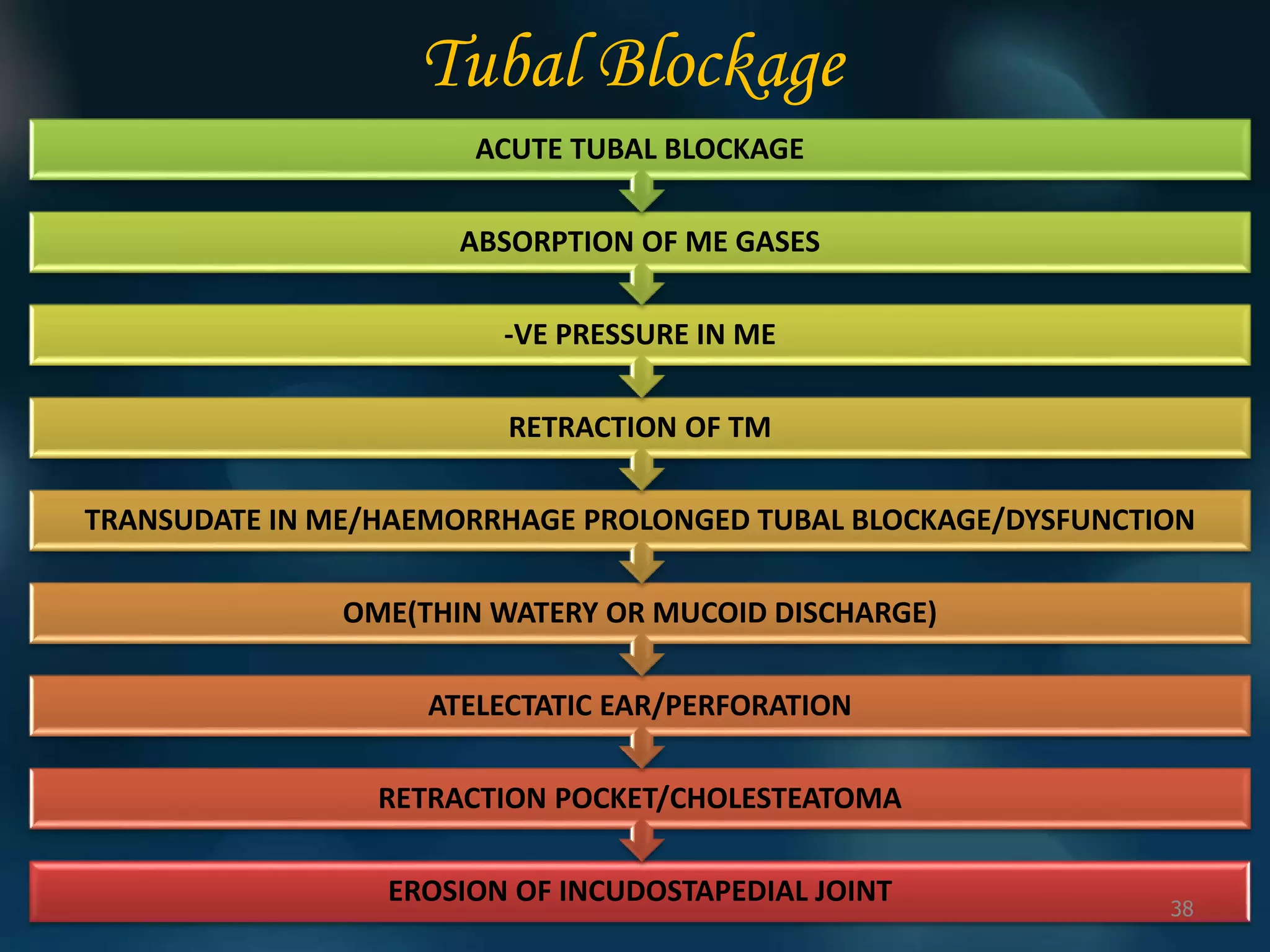 Anatomy and physiology of eustachian tube | PPTX
