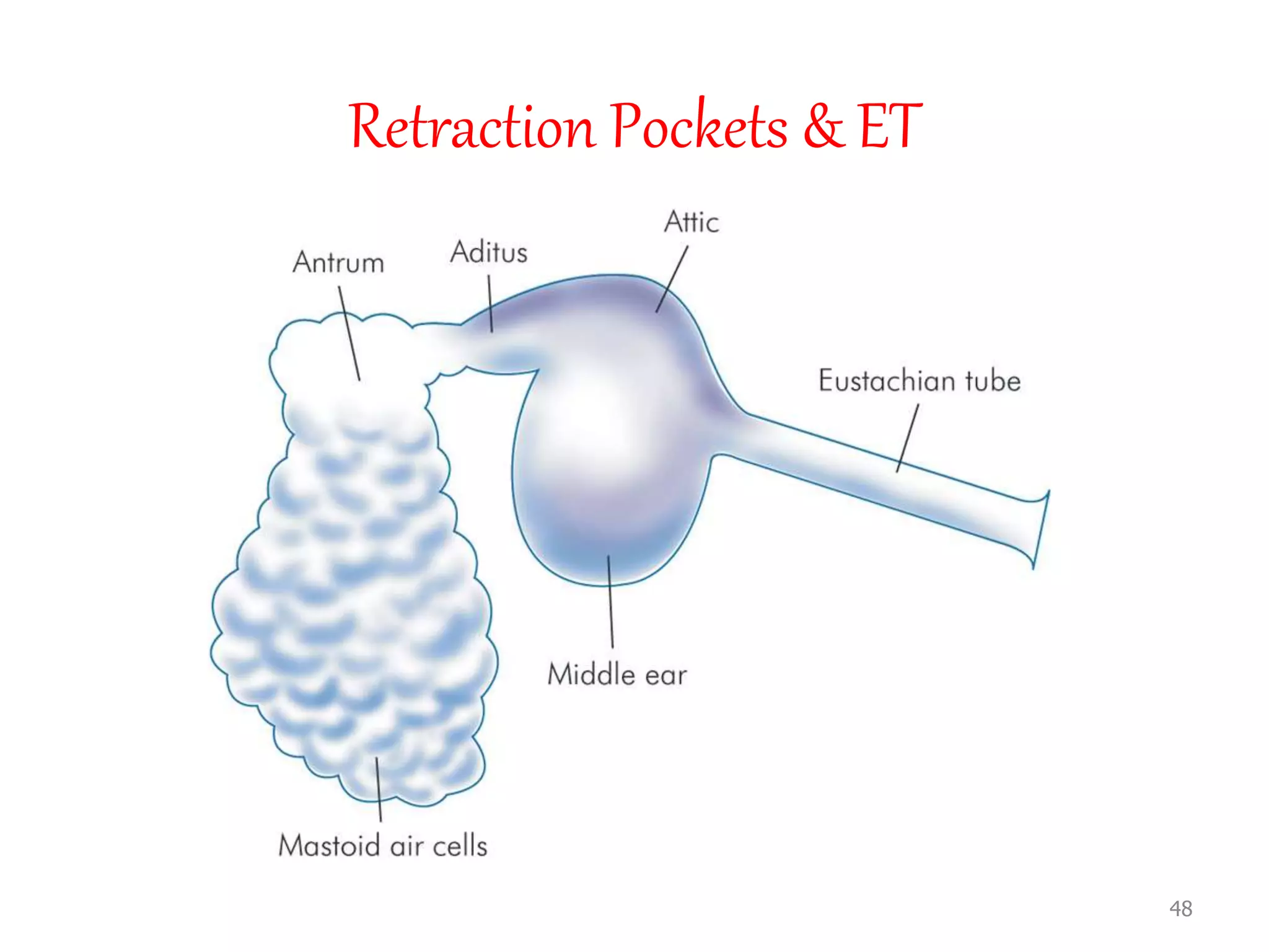 Anatomy and physiology of eustachian tube | PPTX