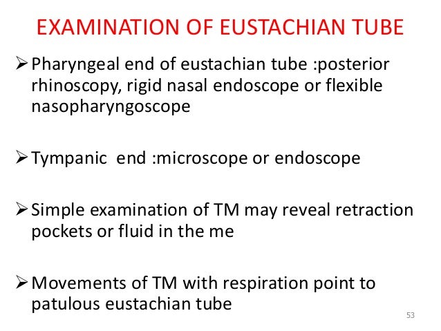 Eustachian Tube Anatomy And Relevant Clinical Points