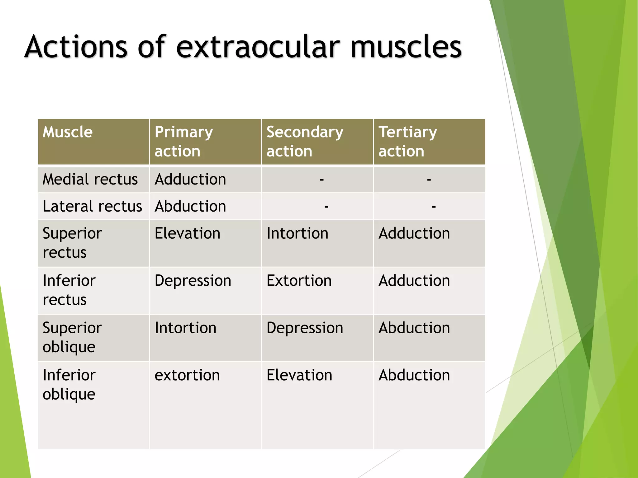 Anatomy and physiology of extraocular muscles | PPTX