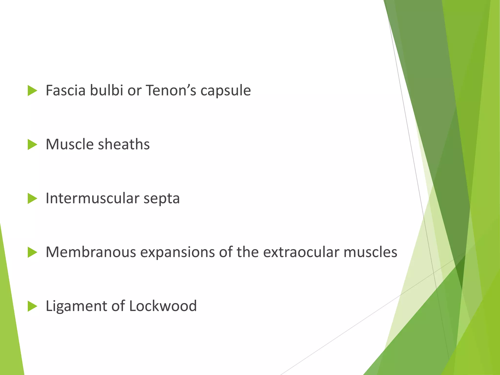 Anatomy and physiology of extraocular muscles | PPTX