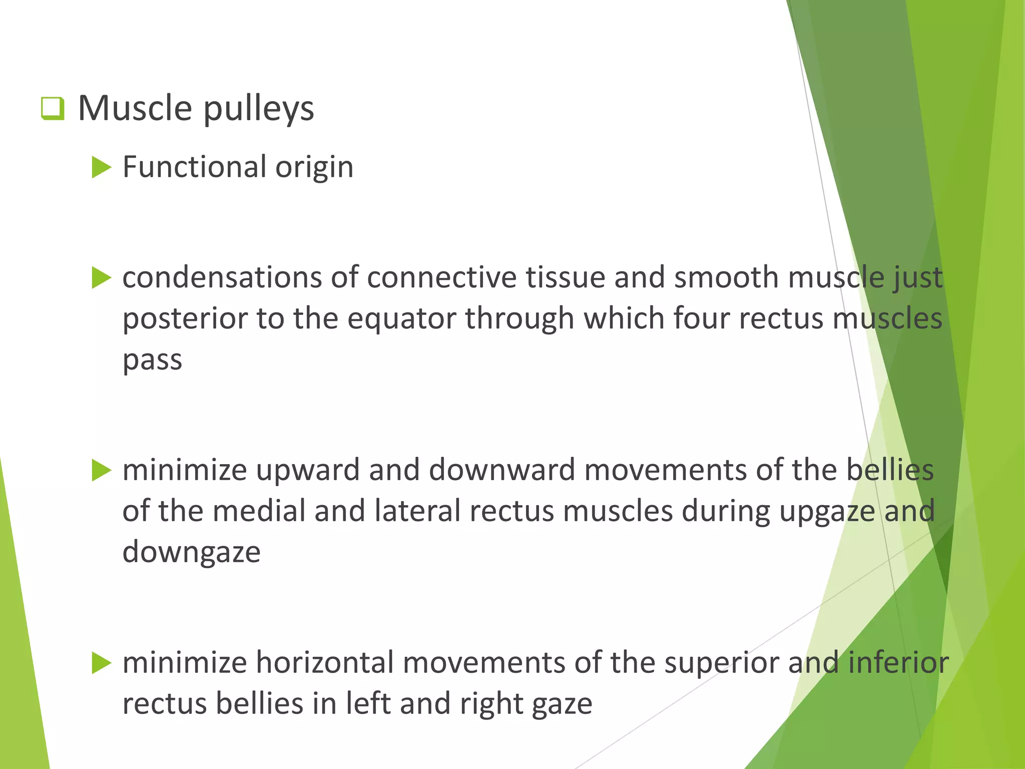 Anatomy and physiology of extraocular muscles | PPTX
