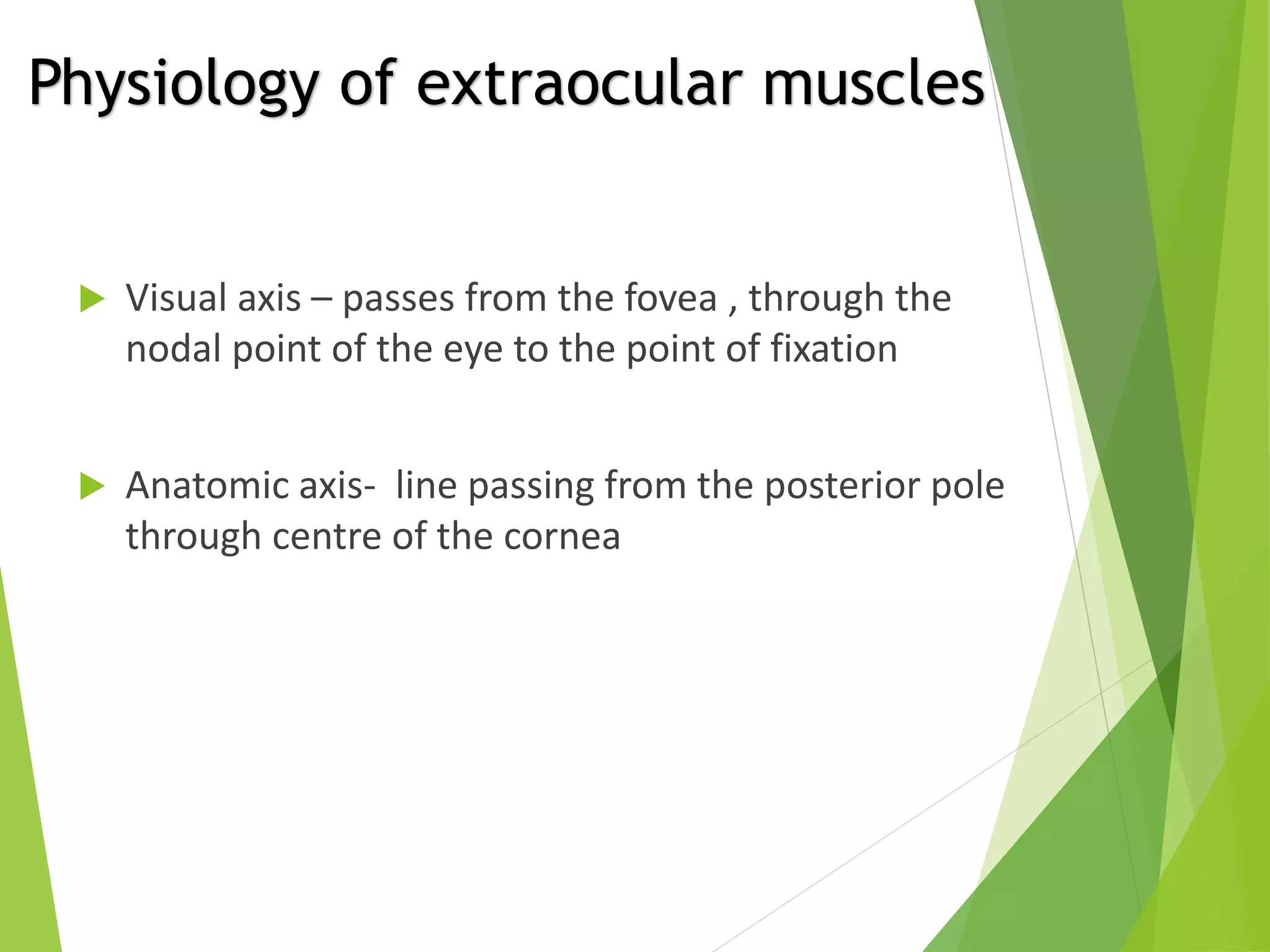 Anatomy and physiology of extraocular muscles | PPTX