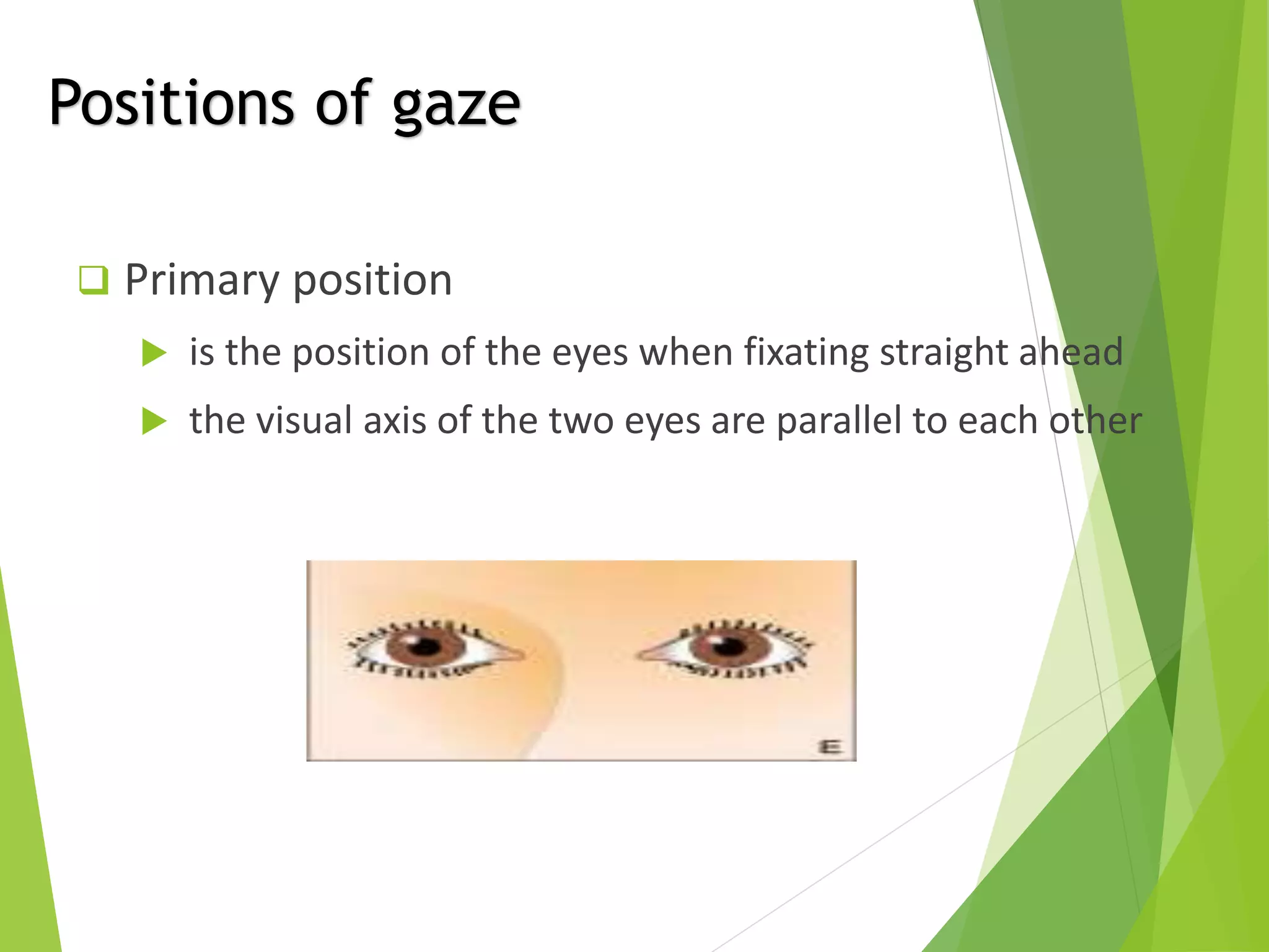 Anatomy and physiology of extraocular muscles | PPTX