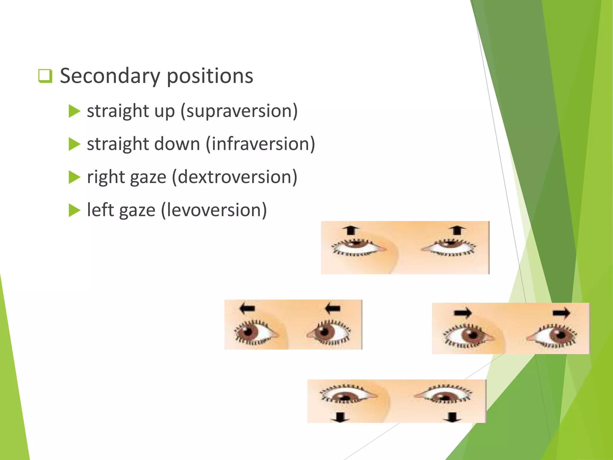 Anatomy and physiology of extraocular muscles | PPTX