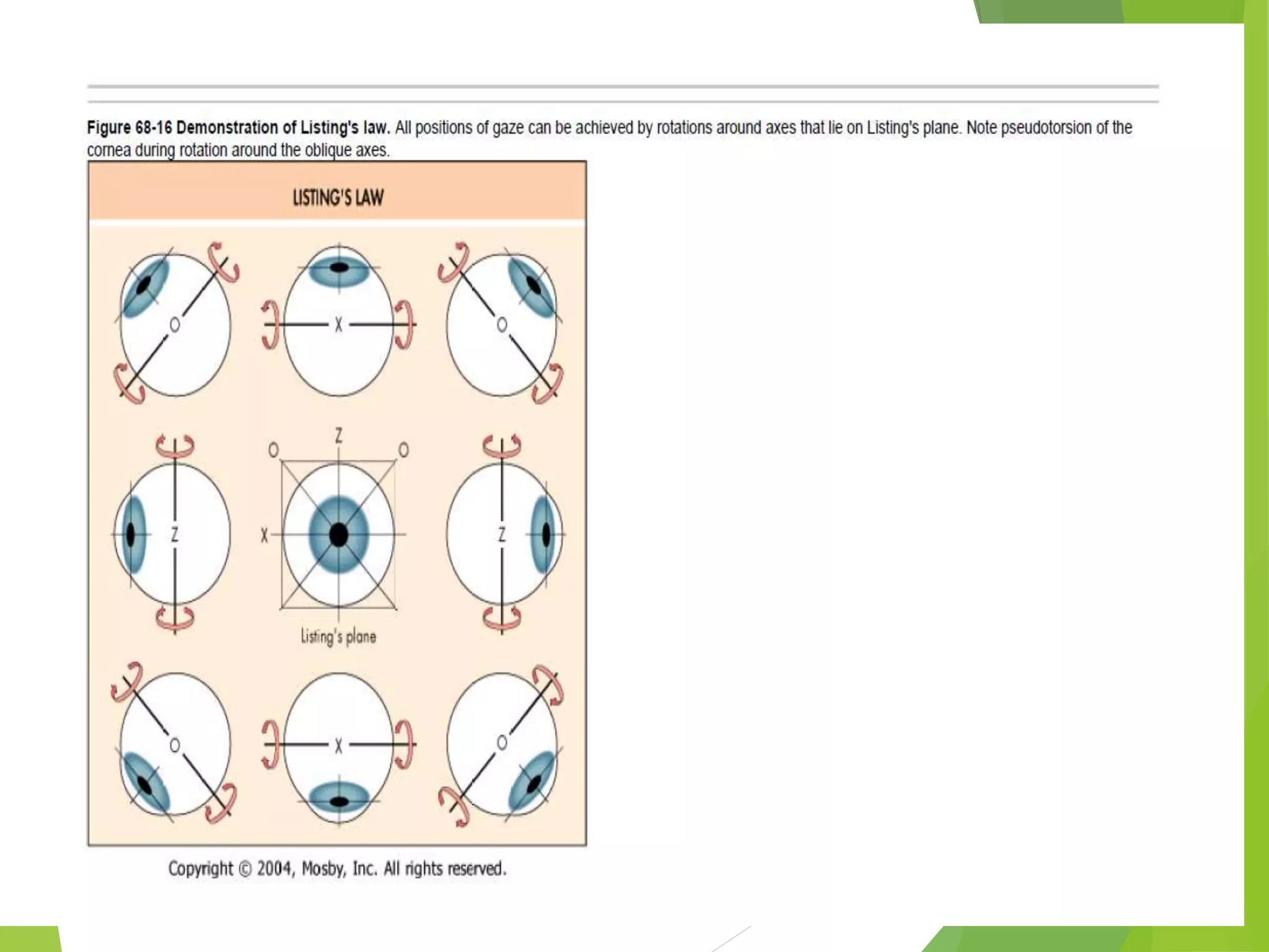 Anatomy and physiology of extraocular muscles | PPTX