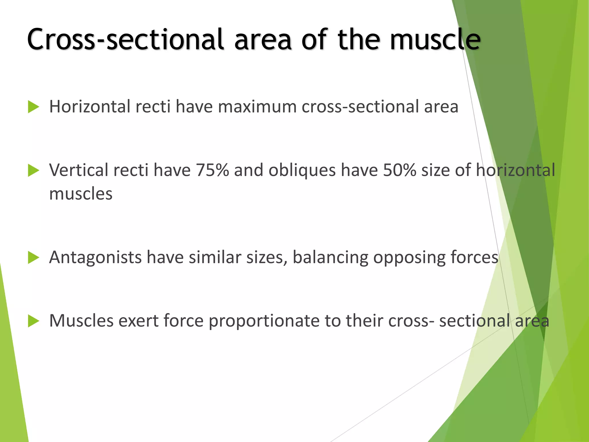 Anatomy and physiology of extraocular muscles | PPTX