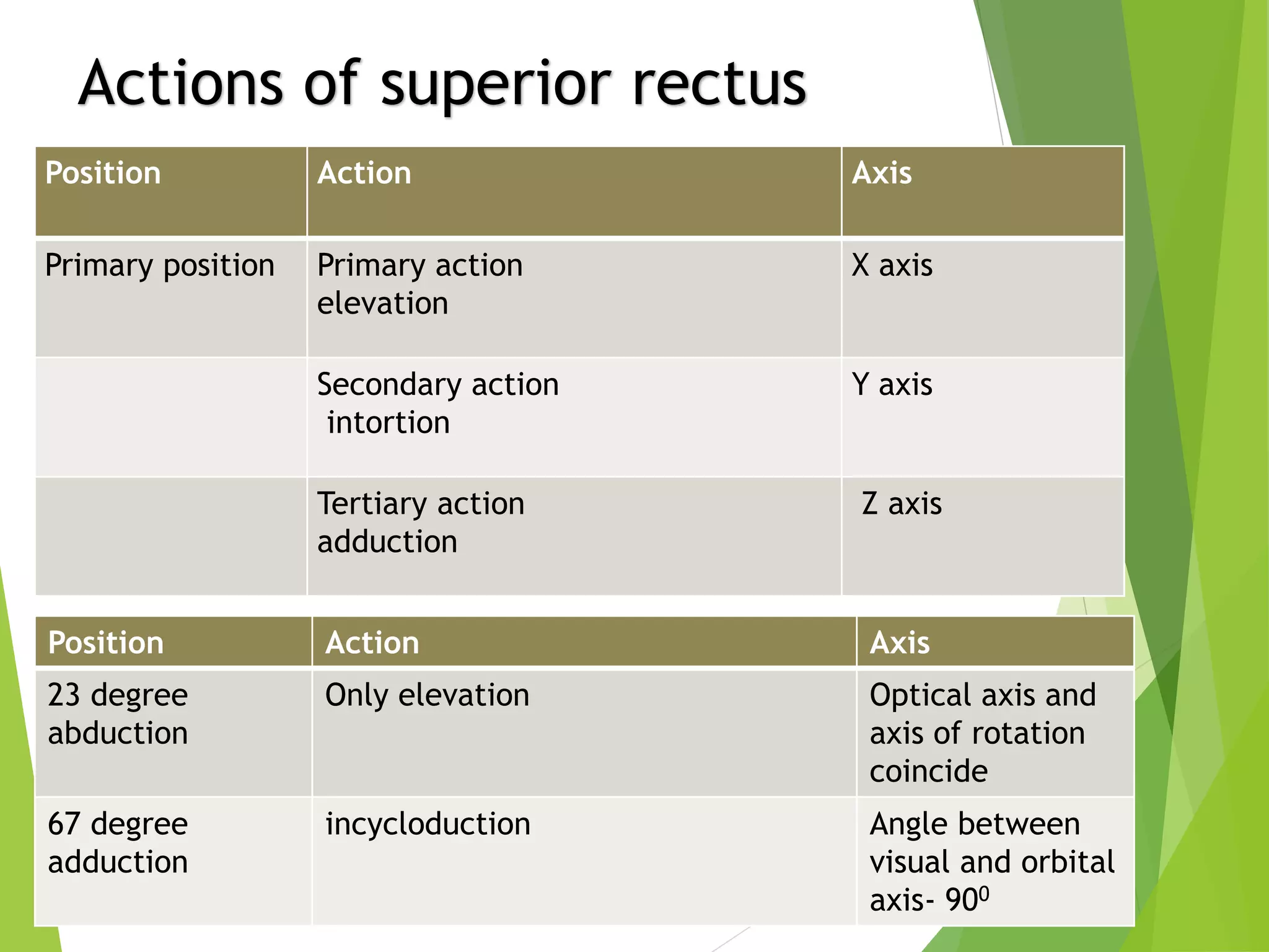 Anatomy and physiology of extraocular muscles | PPTX