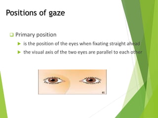 Anatomy and physiology of extraocular muscles | PPTX