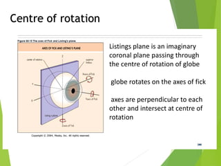 Anatomy and physiology of extraocular muscles | PPTX