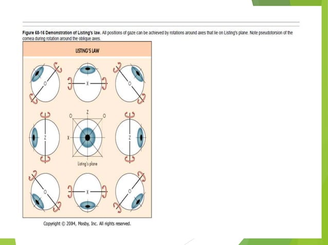Anatomy and physiology of extraocular muscles | PPTX