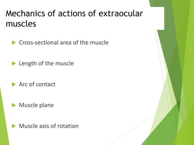 Anatomy and physiology of extraocular muscles | PPTX