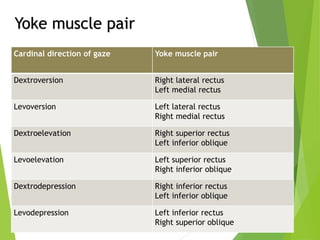 Anatomy and physiology of extraocular muscles | PPT