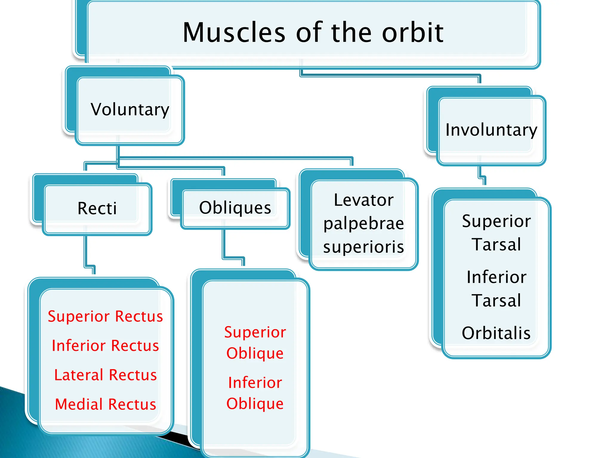 ANATOMY AND PHYSIOLOGY OF EXTRAOCULAR MUSCLES.pptx