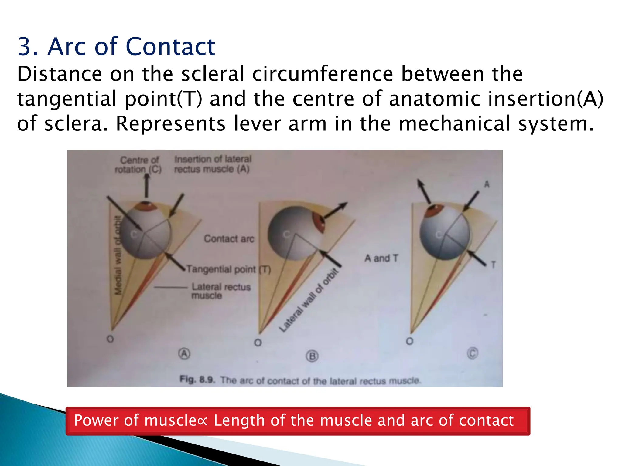 ANATOMY AND PHYSIOLOGY OF EXTRAOCULAR MUSCLES.pptx