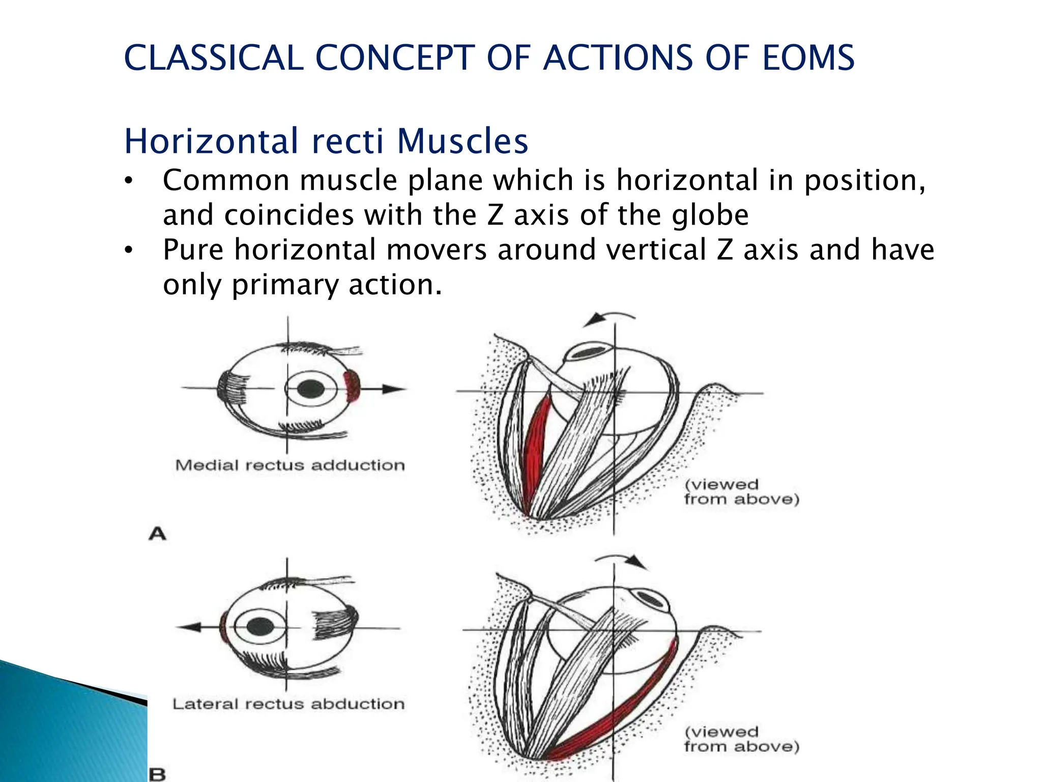 ANATOMY AND PHYSIOLOGY OF EXTRAOCULAR MUSCLES.pptx