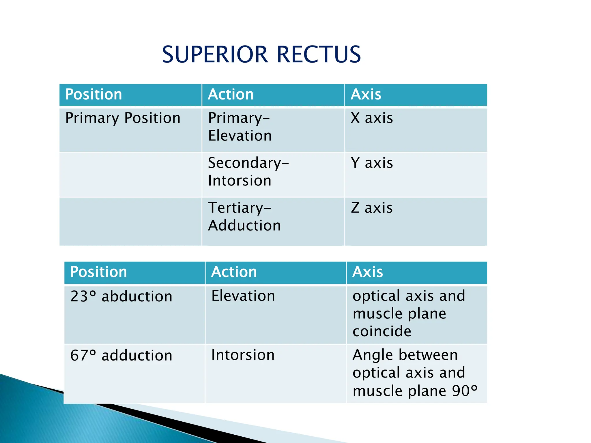 ANATOMY AND PHYSIOLOGY OF EXTRAOCULAR MUSCLES.pptx