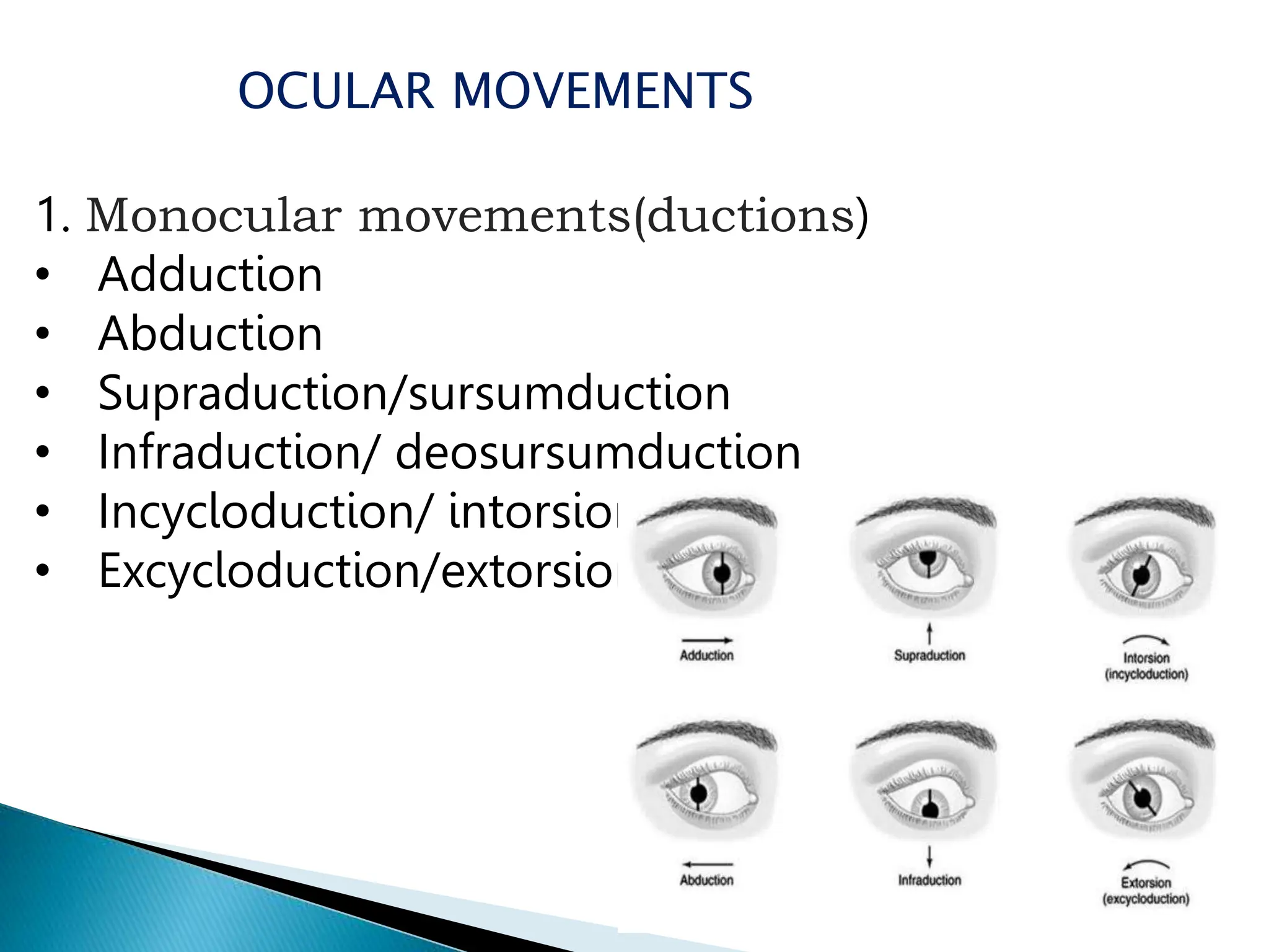 ANATOMY AND PHYSIOLOGY OF EXTRAOCULAR MUSCLES.pptx