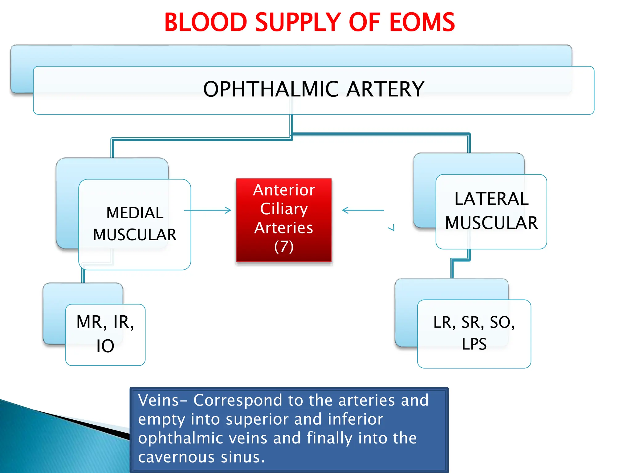 ANATOMY AND PHYSIOLOGY OF EXTRAOCULAR MUSCLES.pptx
