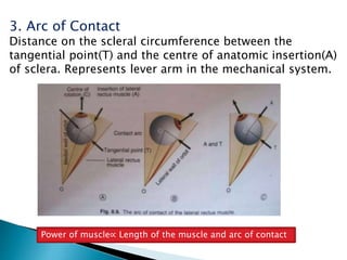 ANATOMY AND PHYSIOLOGY OF EXTRAOCULAR MUSCLES.pptx